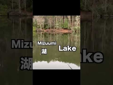 【JAPANESE】Japanese Phrases for fishing