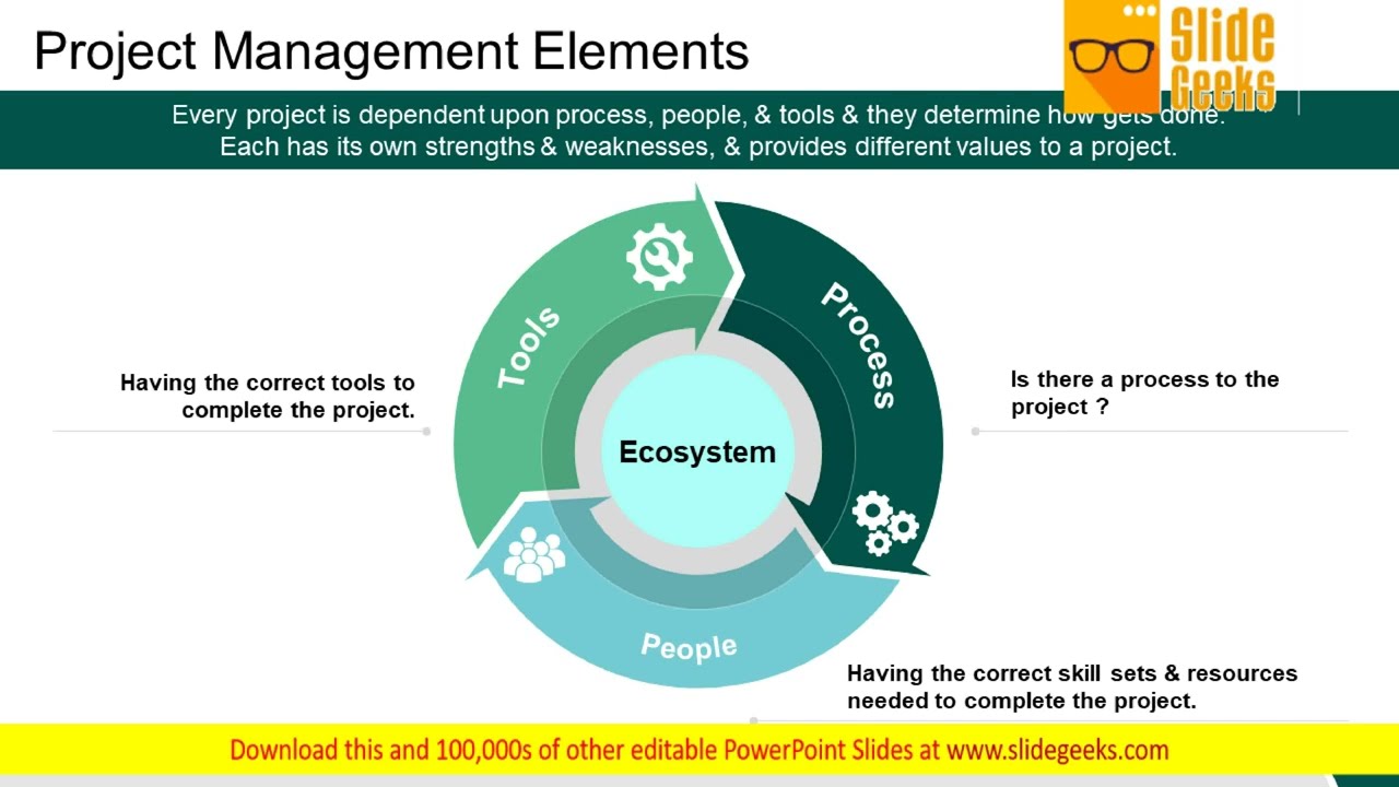 Project Management Elements Ecosystem Ppt Powerpoint Presentation Gallery Microsoft