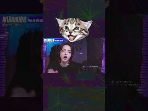 The FUNNIEST Cat Names!!