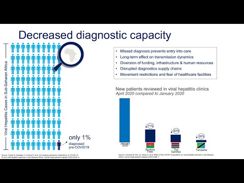 The Global Impact of the COVID-19 Pandemic on Hepatitis B Prevention and Treatment Services