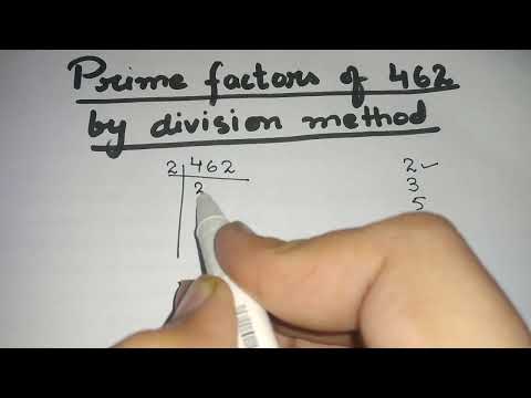 Prime factors of 462 by division method || in Urdu/Hindi ||