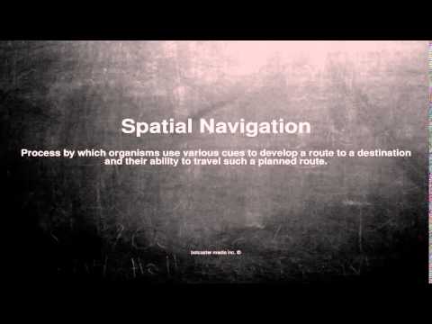 Medical vocabulary: What does Spatial Navigation mean