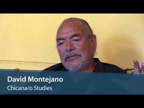 David Montejano on the Importance of Chicano Studies
