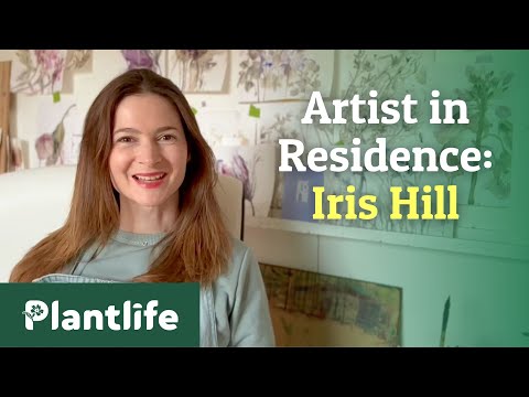 Artist in Residence: Iris Hill