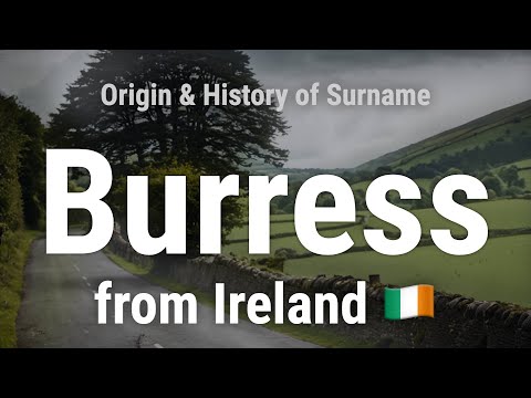 Burress from Ireland 🇮🇪 - Meaning, Origin, History & Migration Routes of Surname
