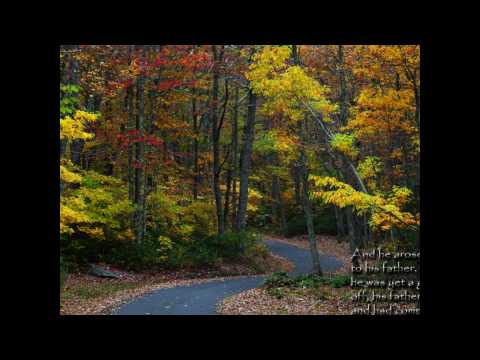 Christian Bible Scripture Nature Photography Art