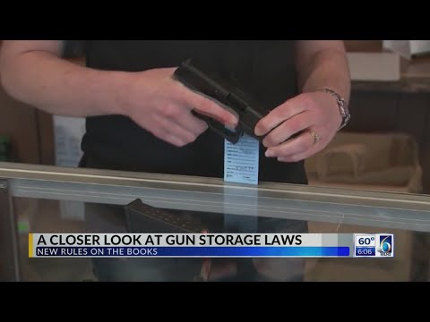 A Closer look at Gun Storage laws