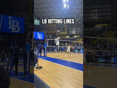 Long Beach State Hitting Lines