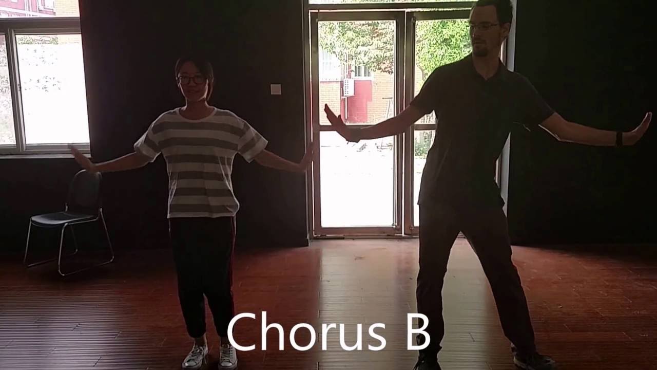 Wedding Flash Mob Training Video