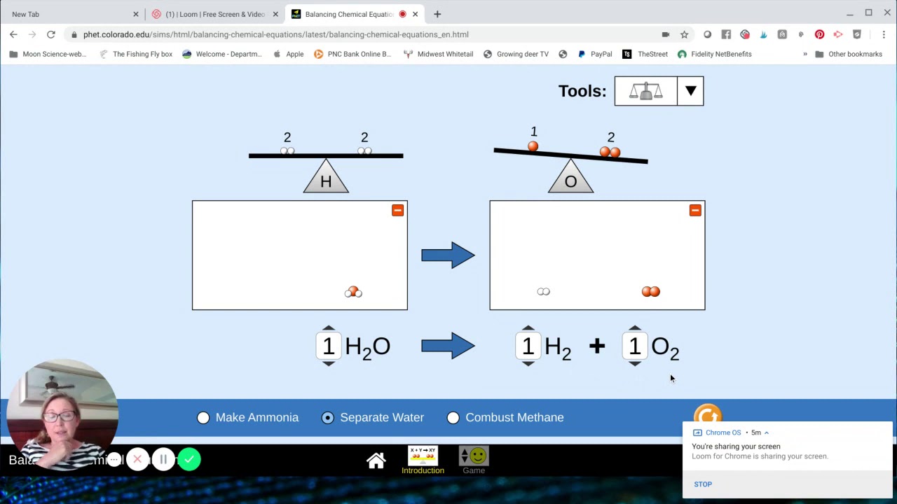 pHET Balancing Equations Simulation