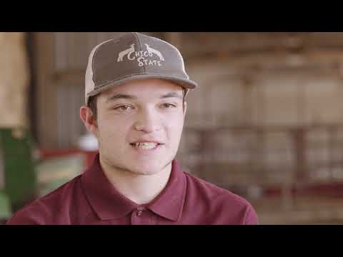 Animal Science at Chico State