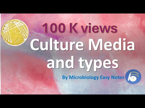 Culture Media & its Types