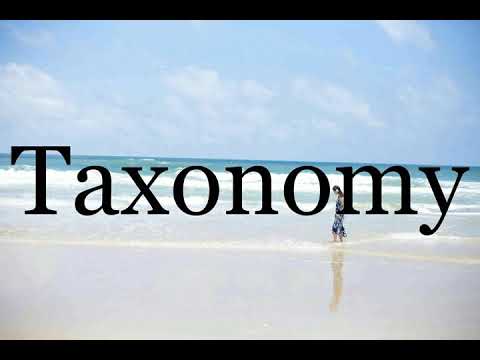 How To Pronounce Taxonomy🌈🌈🌈🌈🌈🌈Pronunciation Of Taxonomy