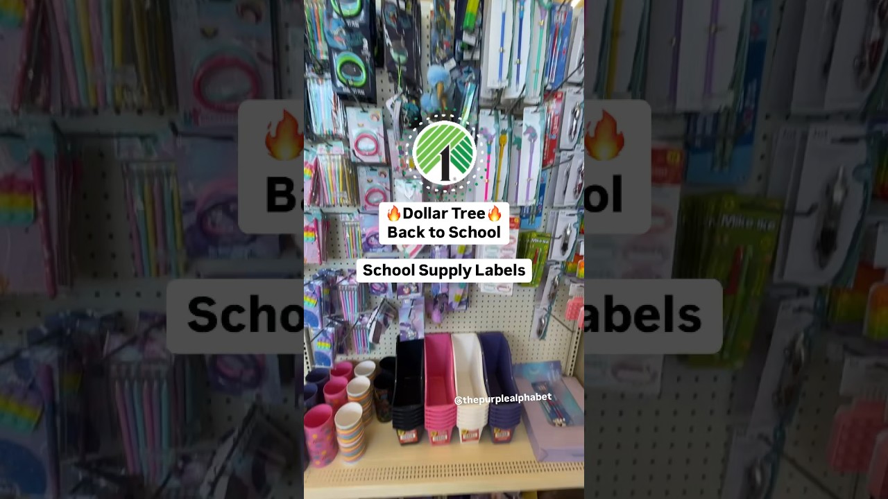 GREAT Back to School Find at Dollar Tree #schoolsupplies #organization #dollartree