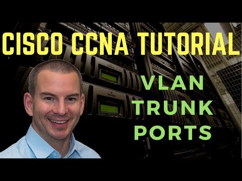 VLAN Trunk Ports - Cisco CCNA Tutorial