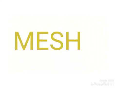 Mesh meaning.