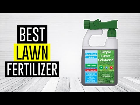Best Lawn Fertilizer 2022 | Top 5 Lawn Fertilizers