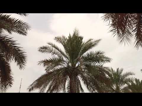 Wadi Namar