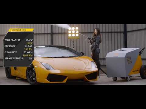 Steam Car Washer - Car Cleaning Machine Latest Price, Manufacturers ...