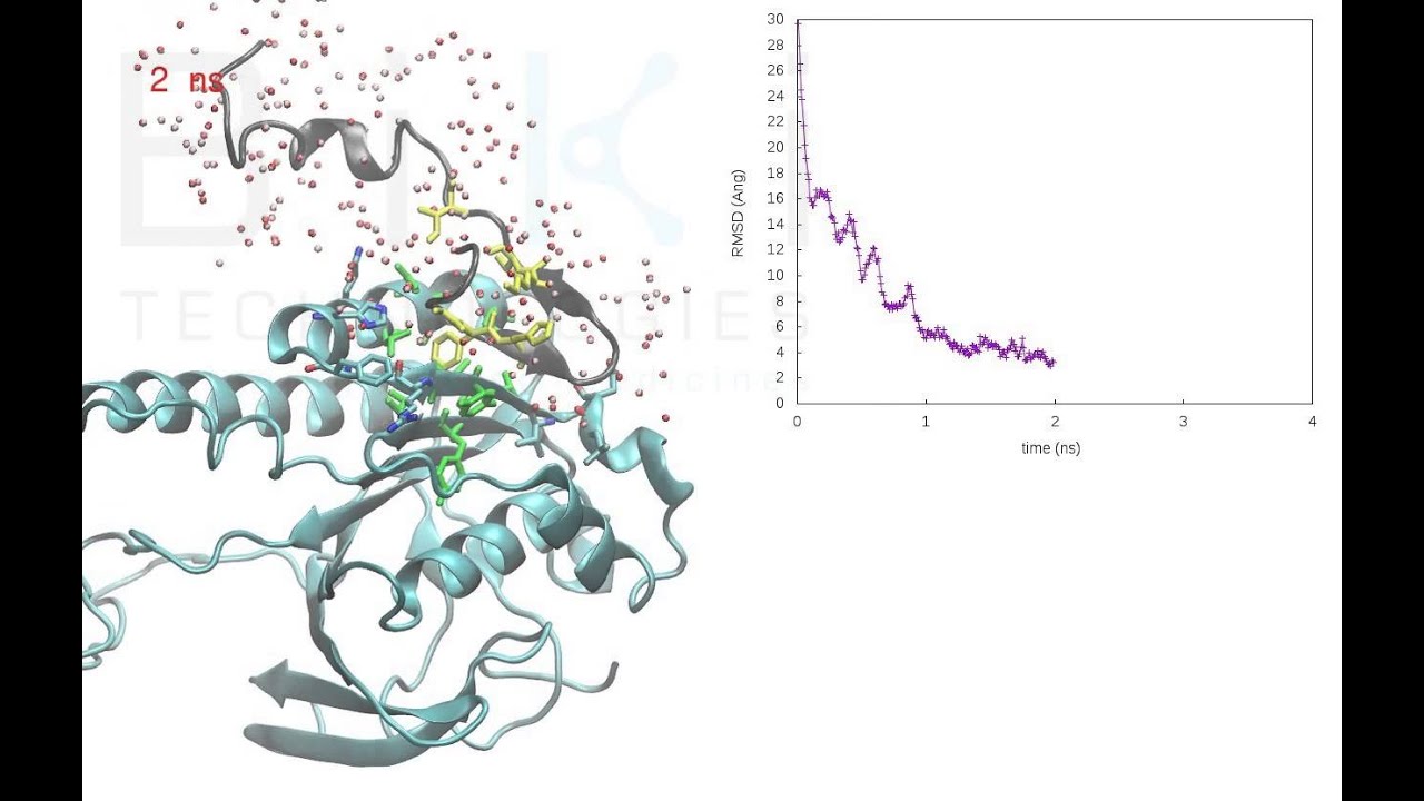 RAD51-BRCA2 MD-Binding