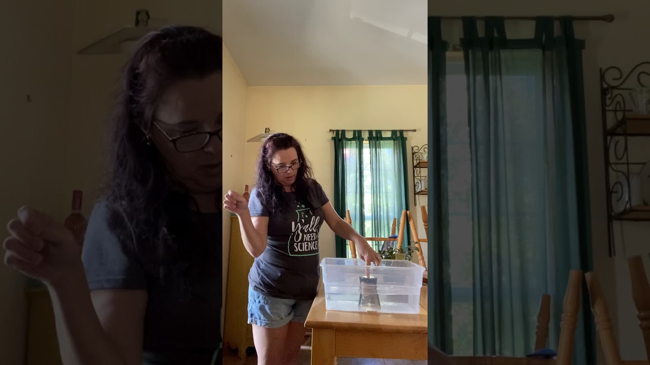 Remote Learning Science Activity for Preschool