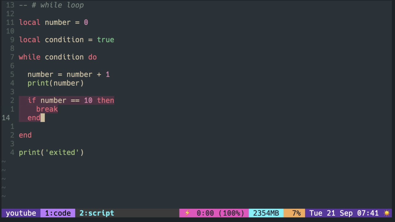 Lua Tutorial with Neovim: Loop ( while loop )