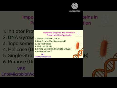 DNA Replication in Prokaryotes @EnteMicrobialWorld #dna #replication #dnareplication #shortsfeed