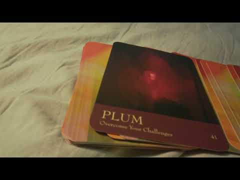 Color card reading for the month of November