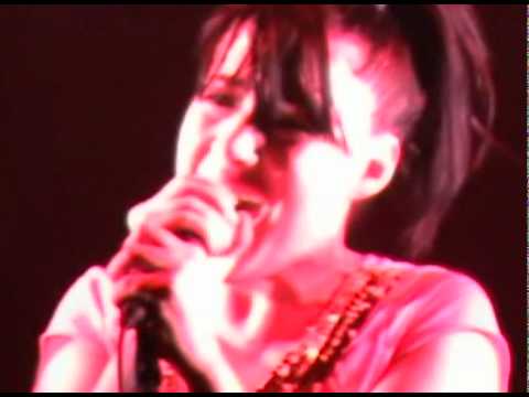 Deceptacon Live!!! | Le Tigre