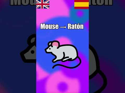 Animal Names in Spanish with Pictures