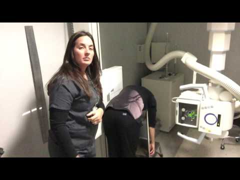 Flexion & Extension Lumbar Spine Instructional Video
