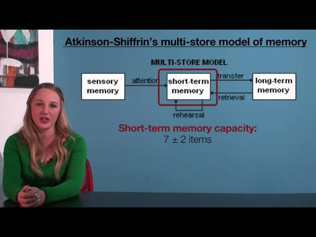 Understanding Atkinson-Shiffrin's Multi-Store Model of Memory | Galaxy
