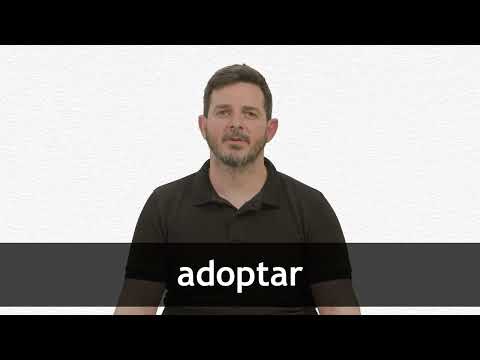 English Translation of “ADOPTAR” | Collins Spanish-English Dictionary
