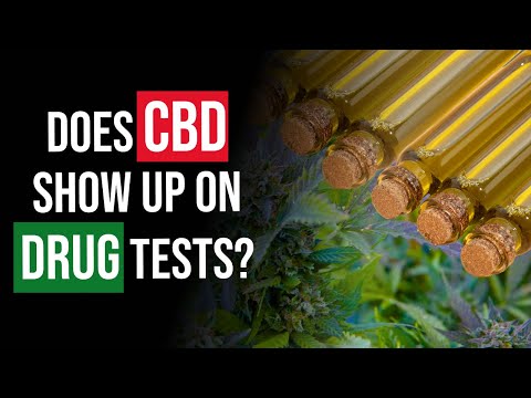Know This Before It's Too Late | Does CBD Show Up On Drug Tests?