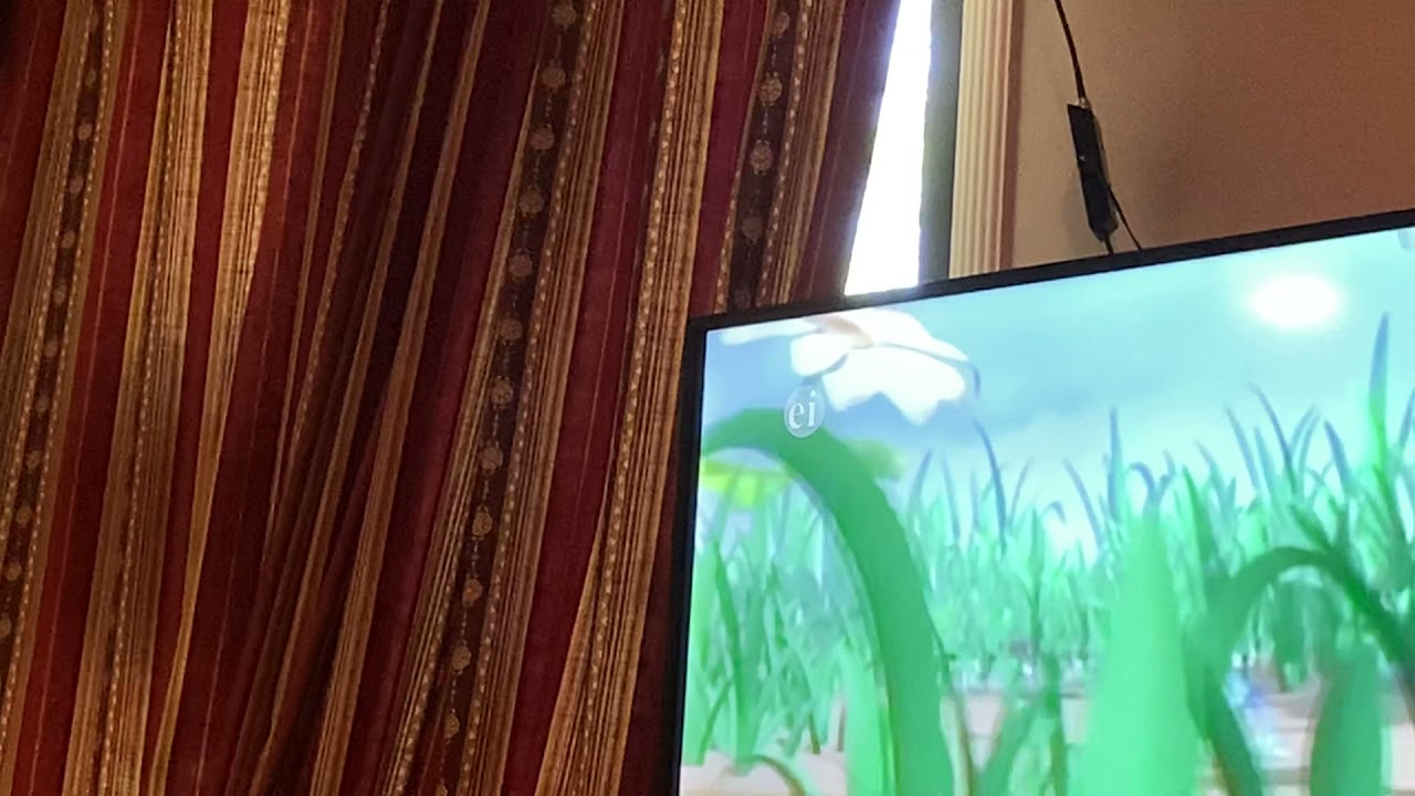TCT Ei screen bug (2020-present?)