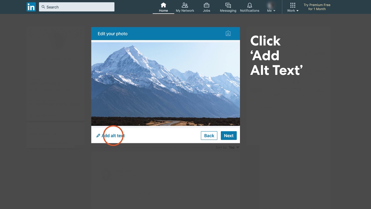 Alt Text - How To - LinkedIn