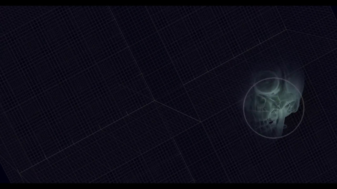 Skull Xray Windows 10 Animated Wallpaper