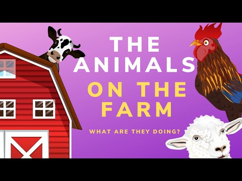 ANIMALS ON THE FARM -WHAT IS IT AND WHAT IS IT DOING?