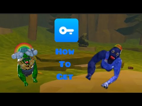 How to get a vpn for animal company