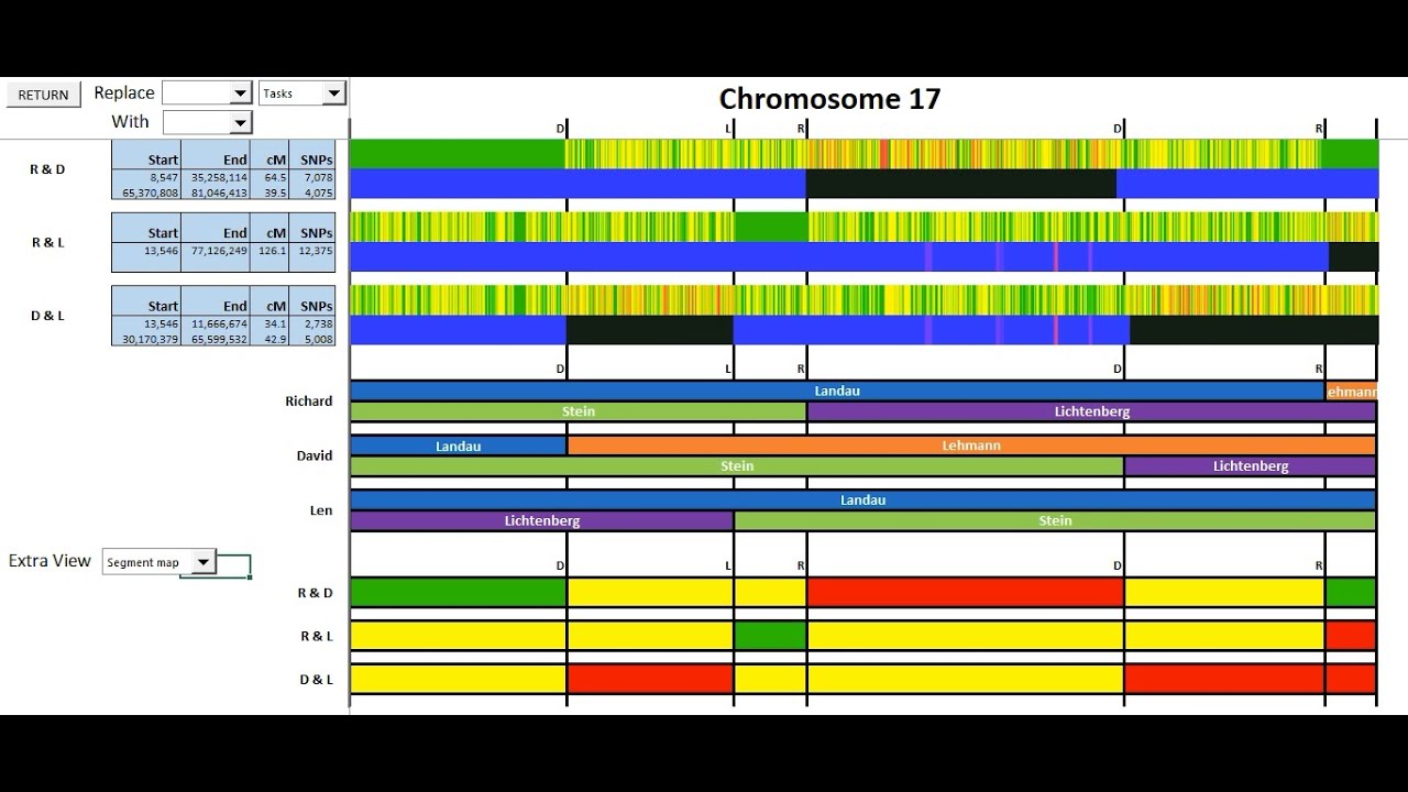 Visual Phasing: A Closer Look at Solving a Chromosome