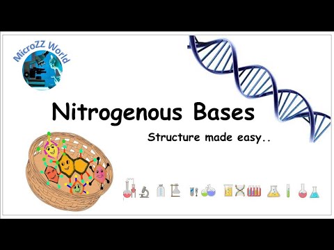 Nitrogenous bases of DNA- Learn to draw the structure easily