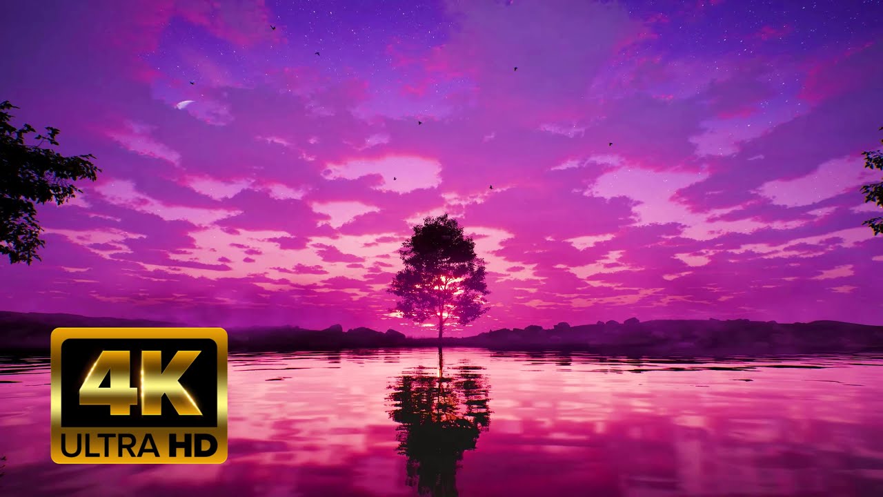 Purple Sunset🌇 Lake Live Wallpaper: Tranquil Beauty For PC #livewallpaper #nature #sunset