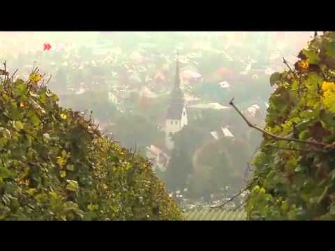 Frisch gesungen - SWR Sonntagstour "Choralis" Mommenheim