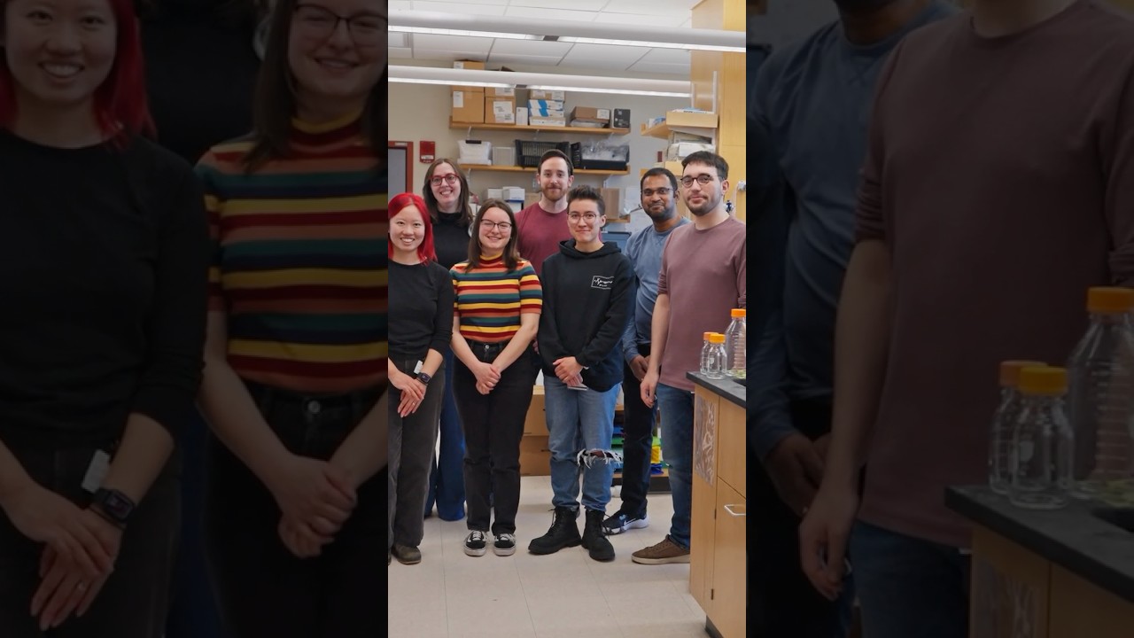 Harvard Medical School Scientists Working to Prevent the Next Pandemic