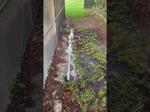 “Sprinkler Apocalypse”