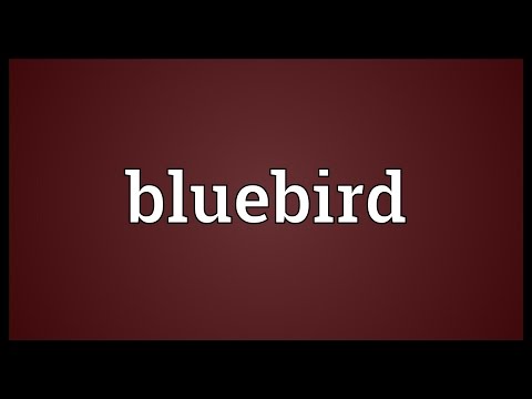 Bluebird Meaning
