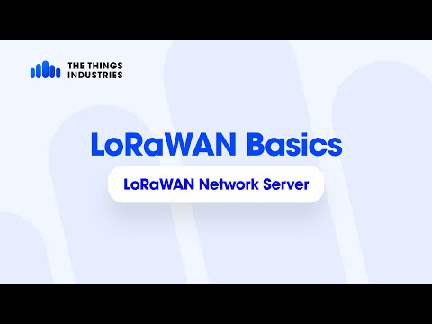 What is a LoRaWAN Network Server?