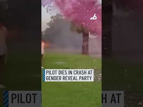 Pilot dies in gender reveal party plane crash