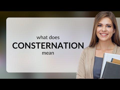 Consternation • CONSTERNATION meaning