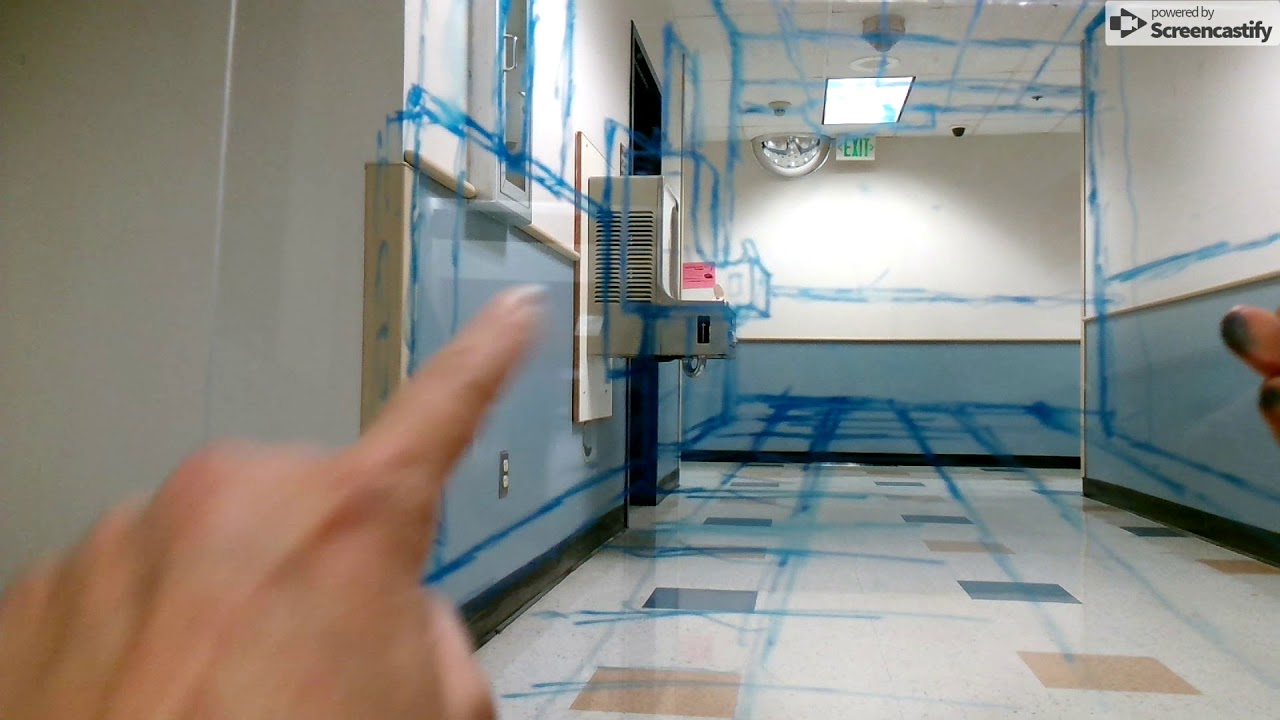 Alberti's Picture Plane